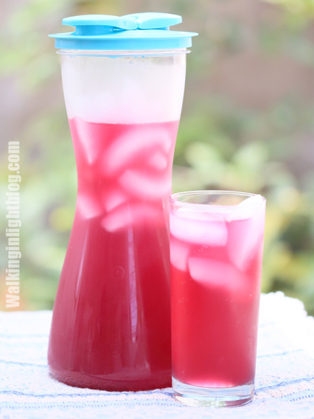 cool-ade-1 - Debbie Lund Photography